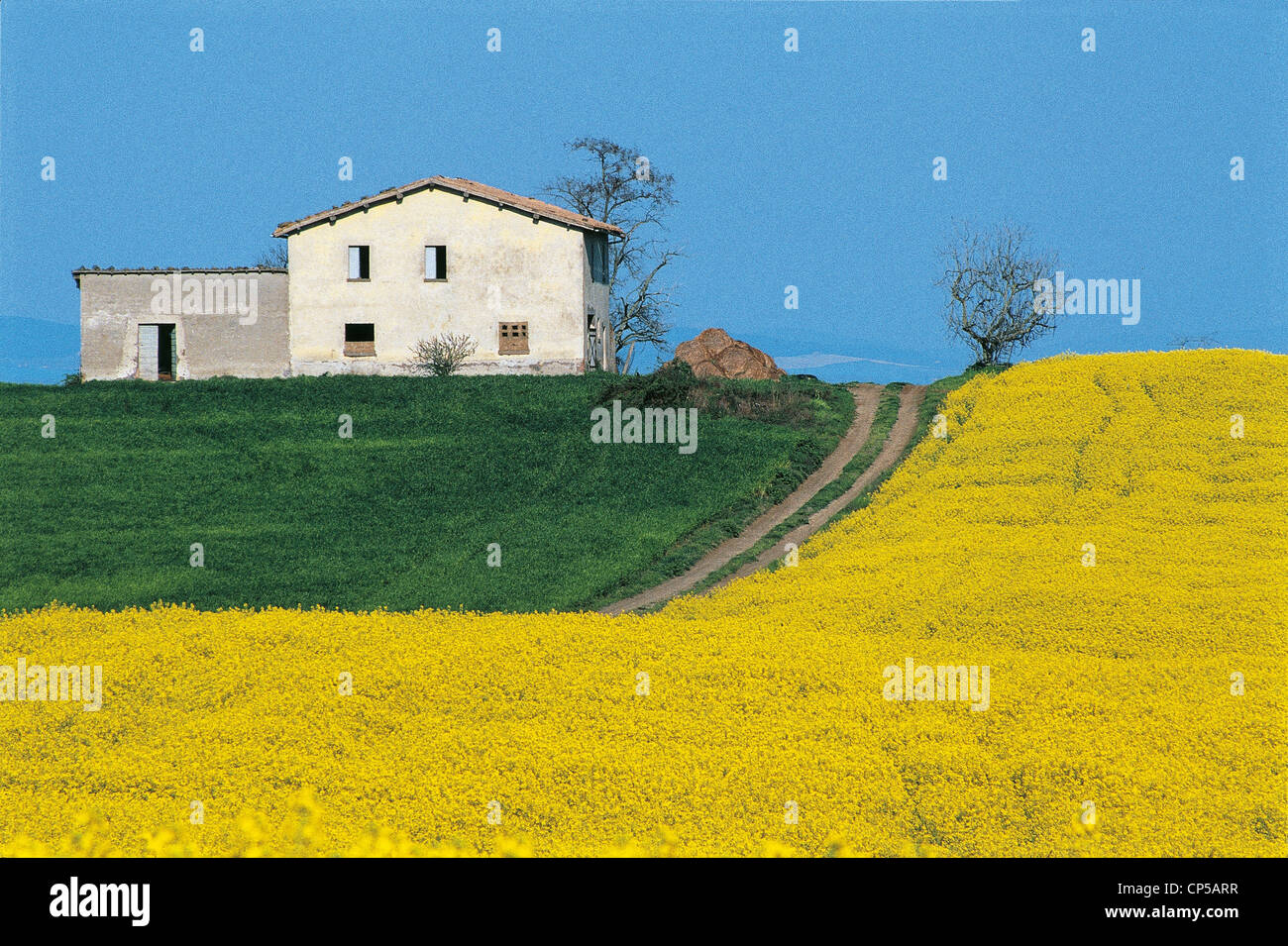 Tuscia and countryside hi-res stock photography and images - Alamy