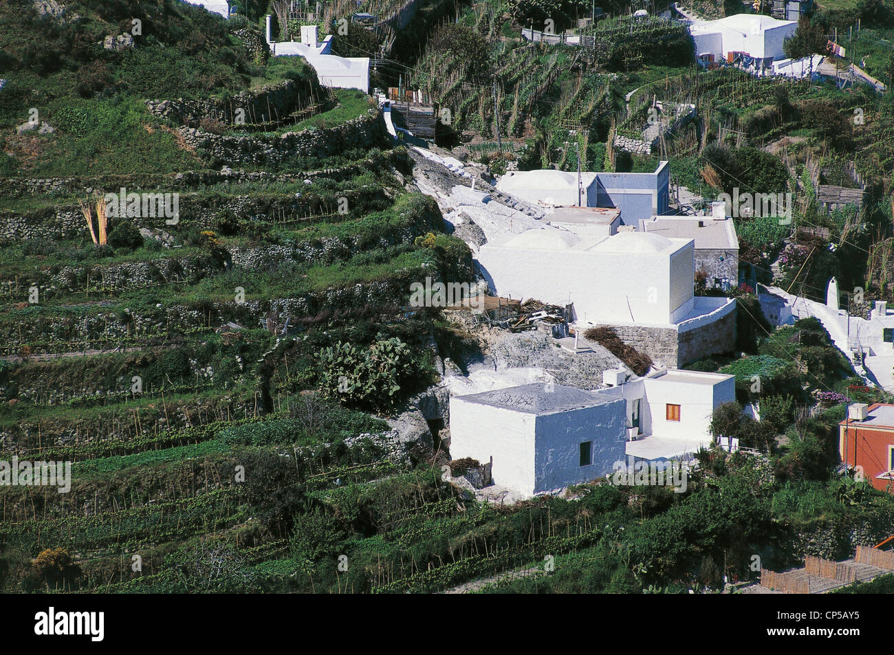 Lazio Islands Pontine Island Ponza Stock Photo - Alamy