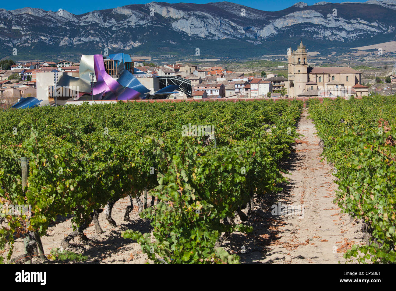 Spain, La Rioja Area, Alava Province, Elciego, elevated town view and ...