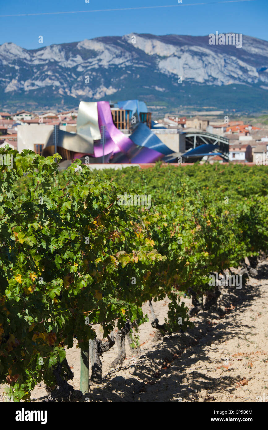 Spain, La Rioja Area, Alava Province, Elciego, elevated town view and ...