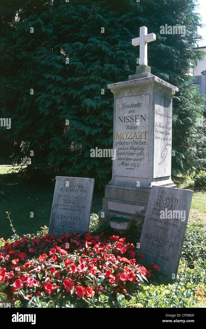 Mozart Family Tree
