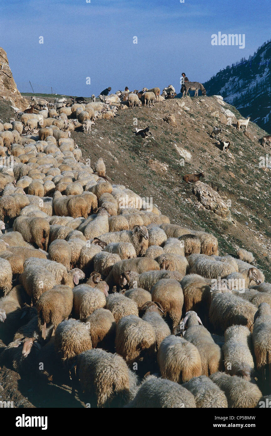 Piemonte - Valle Stura di Demonte (Cn) - Colle della Maddalena (Col de ...