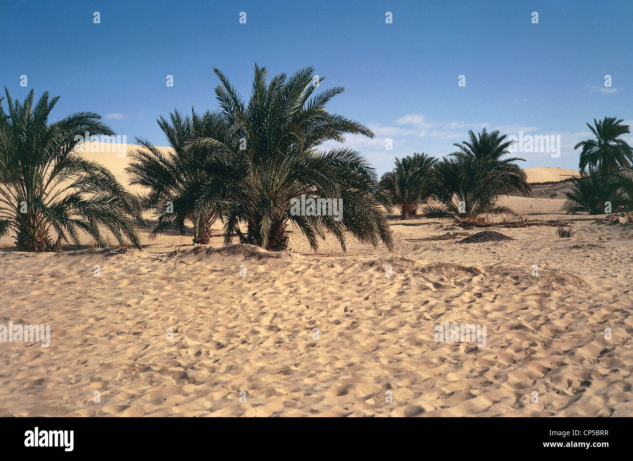 Temaline hi-res stock photography and images - Alamy