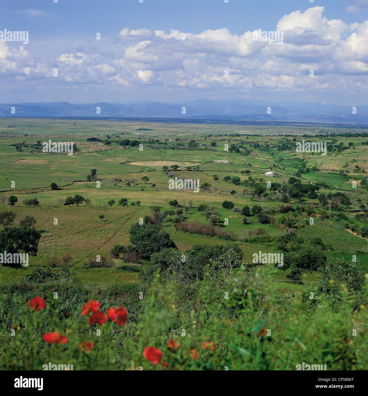 Sardinia - Landscape in the Plateau of Campeda (Nu Stock Photo - Alamy