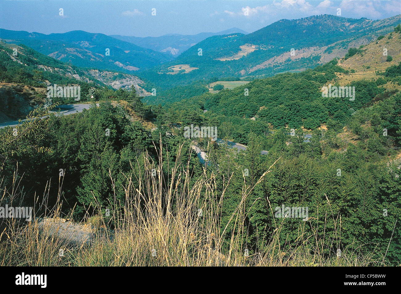 Piedmont Park - Natural huts Marcarolo landscape Stock Photo - Alamy