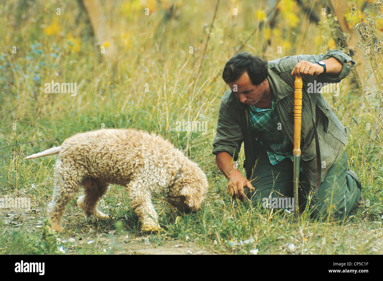 Truffle hunters piedmont hi-res stock photography and images - Alamy