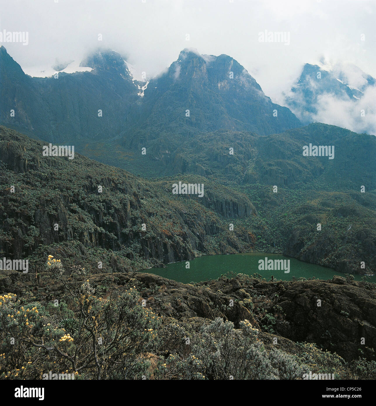 Zaire virunga national park green hi-res stock photography and images ...