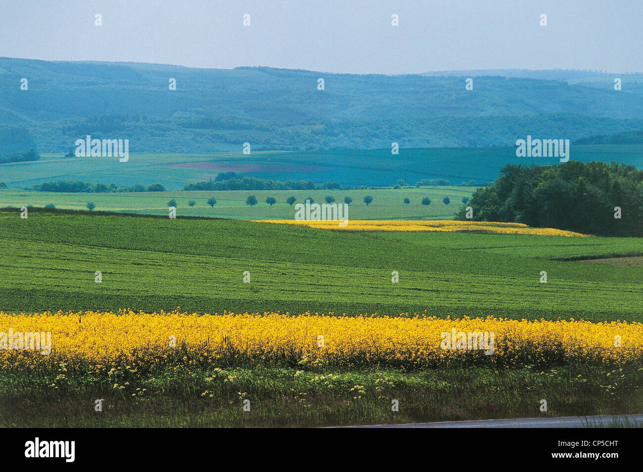 Eifel region hi-res stock photography and images - Alamy