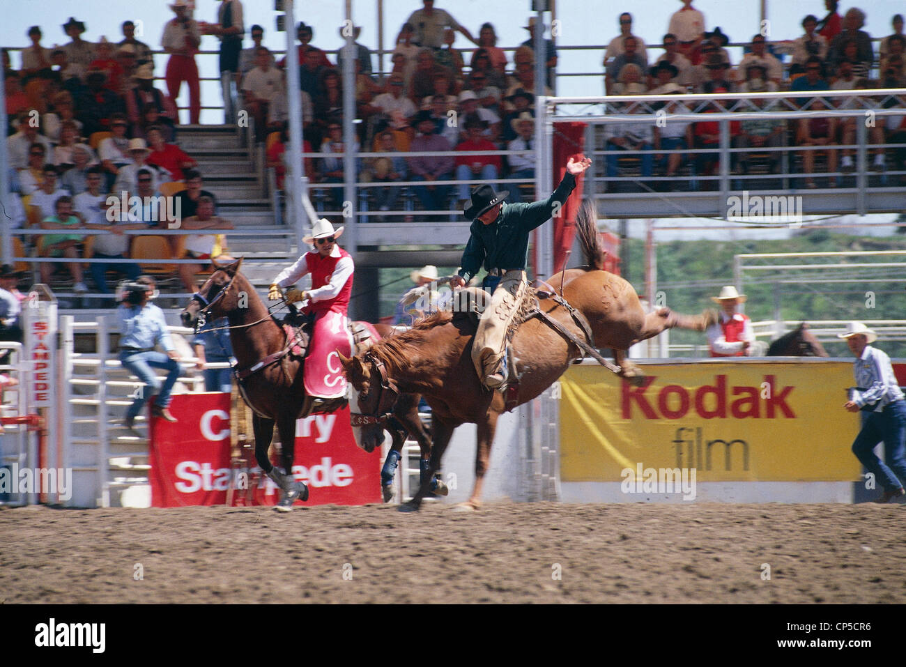 Canada - Alberta - Calgary. Rodeo festival with "Calgary Stampede". The ...