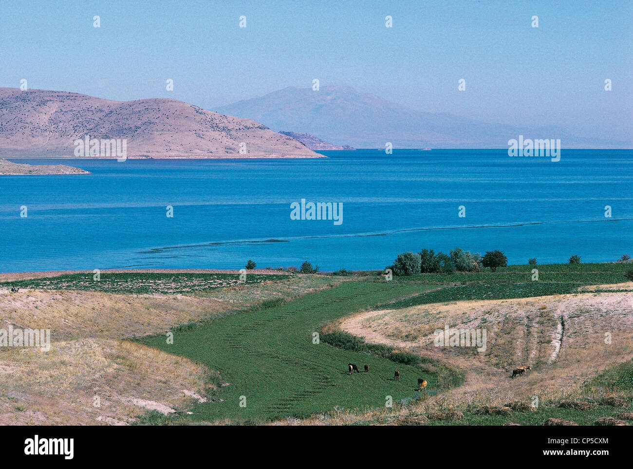 Turkey - Anatolia. Lake Van Stock Photo - Alamy