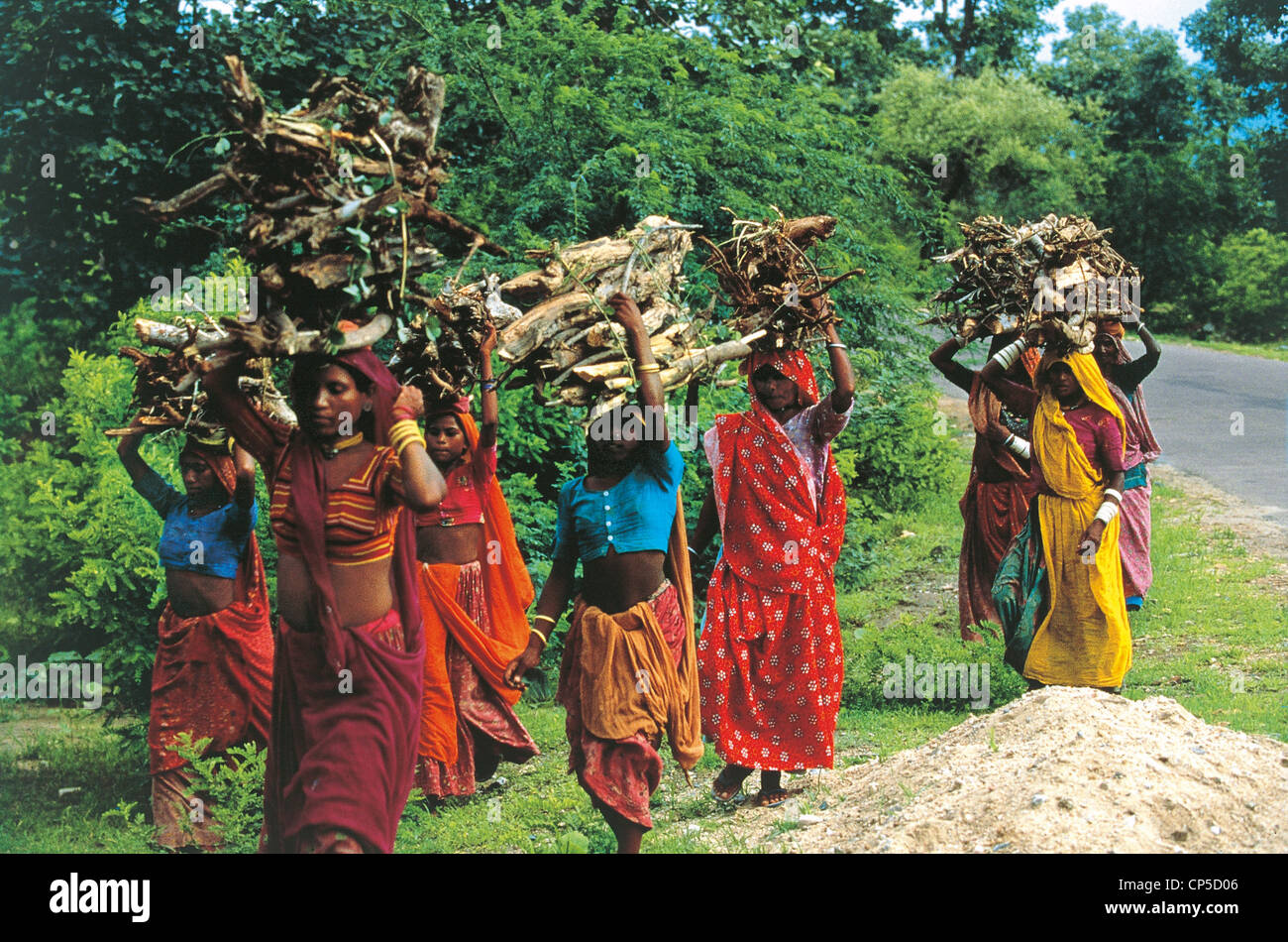 INDIA RAJASTHAN WOOD Bearers Stock Photo - Alamy