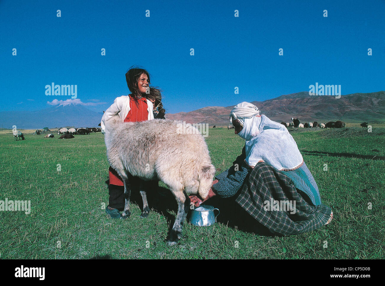 Kurdish Shepherd Turkey Stock Photo - Alamy