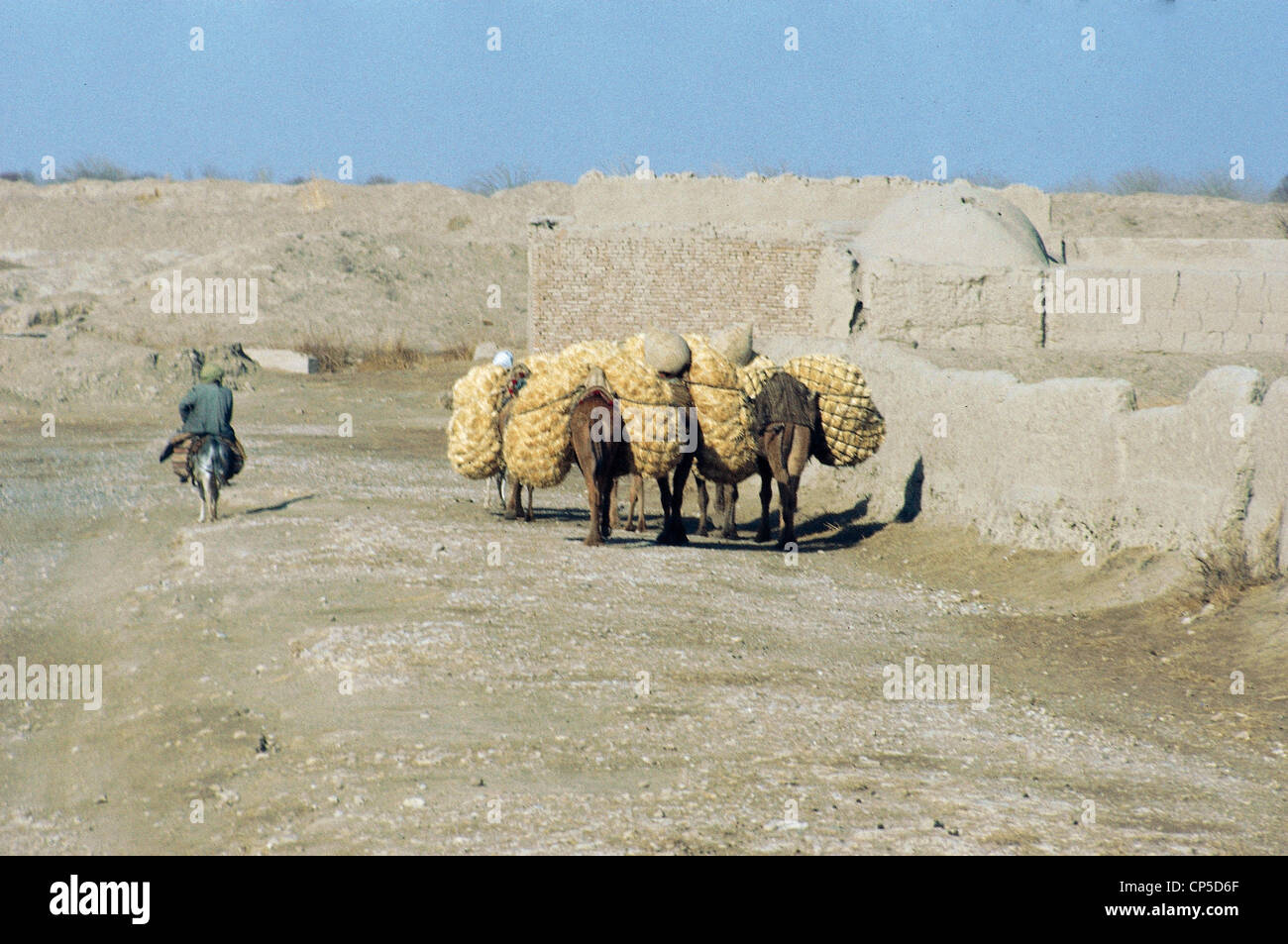 Afghanistan - Ancient Bactria, near Balk and Sheberghan. Caravan Stock ...