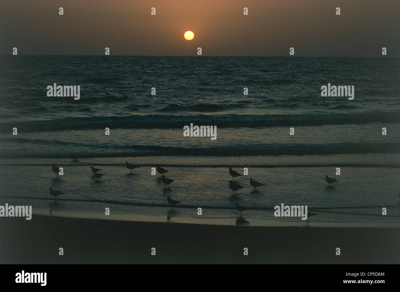 Yemen - Sunset on the Red Sea to Hodeida Stock Photo - Alamy