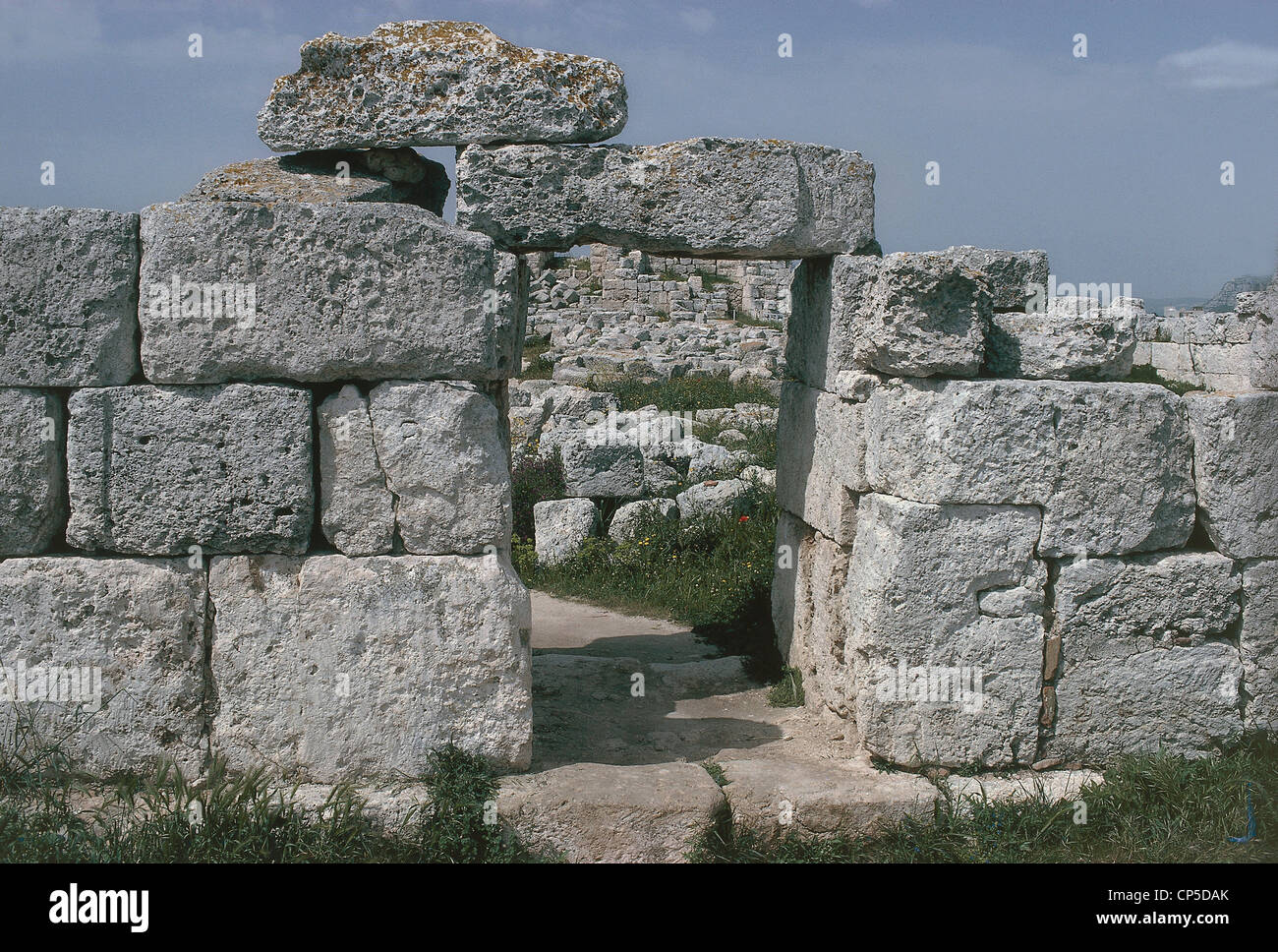 Euryalus hi-res stock photography and images - Alamy
