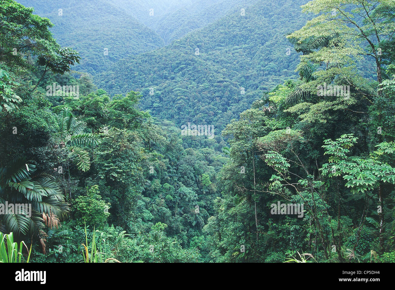 Braulio Carrillo National Park