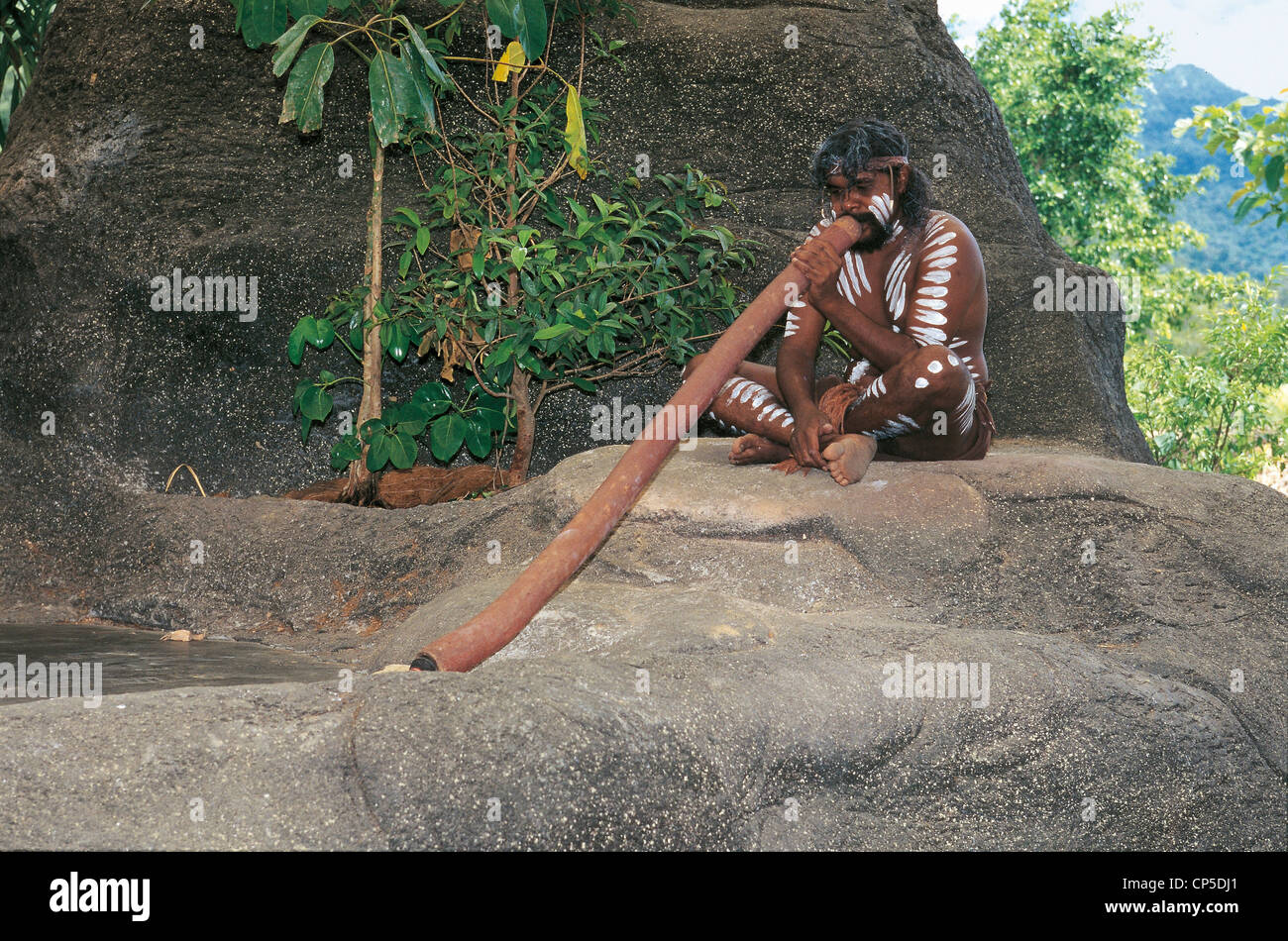 Australia - Queensland. Tjapukai Aboriginal ethnicity plays the ...