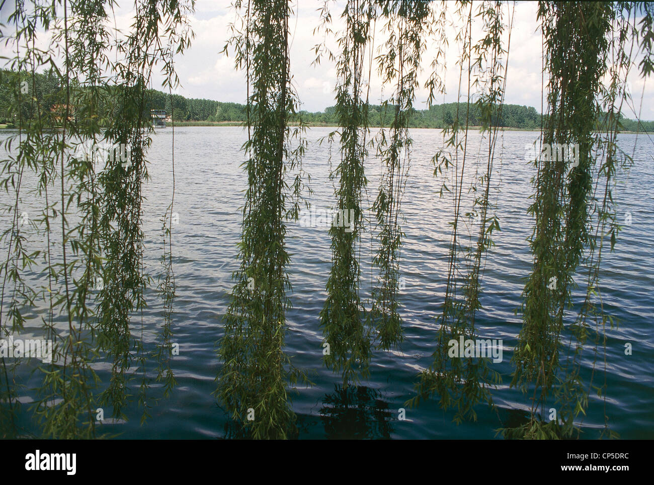 Piedmont - Turin Province - Provincial Park's natural interest of Lake ...