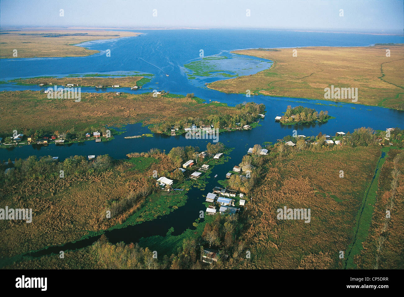 United States of America - Louisiana - Region Laffitte - bayous, the ...