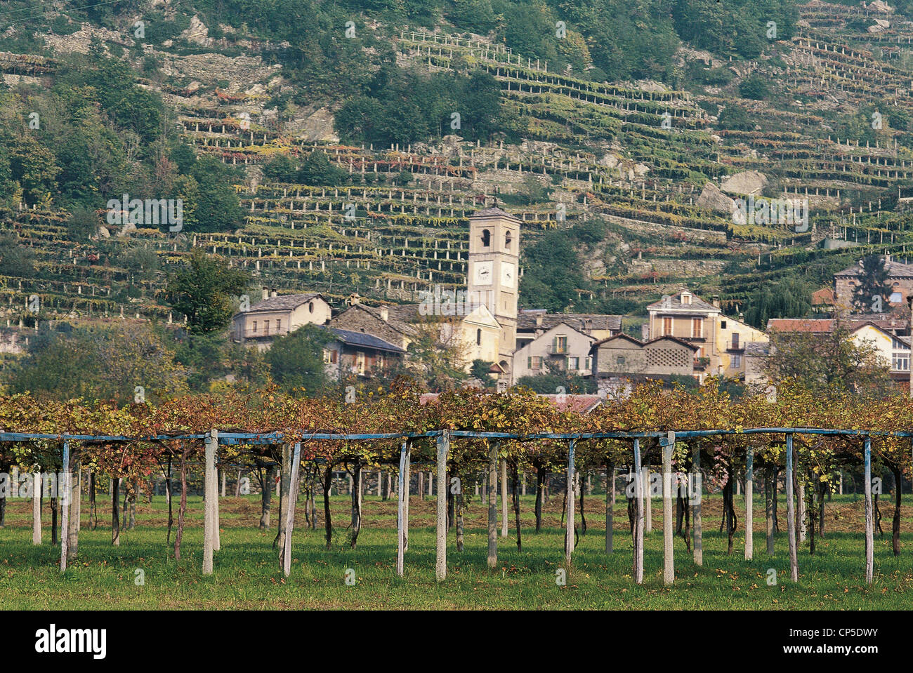 Piedmont Vineyards Carema Stock Photo - Alamy