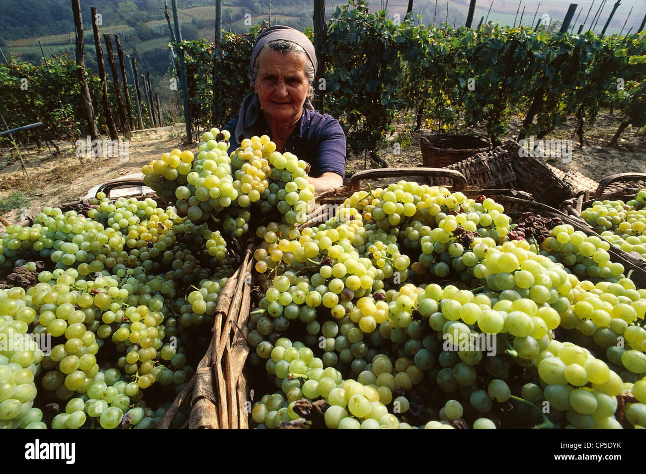 Canelli hi-res stock photography and images - Alamy