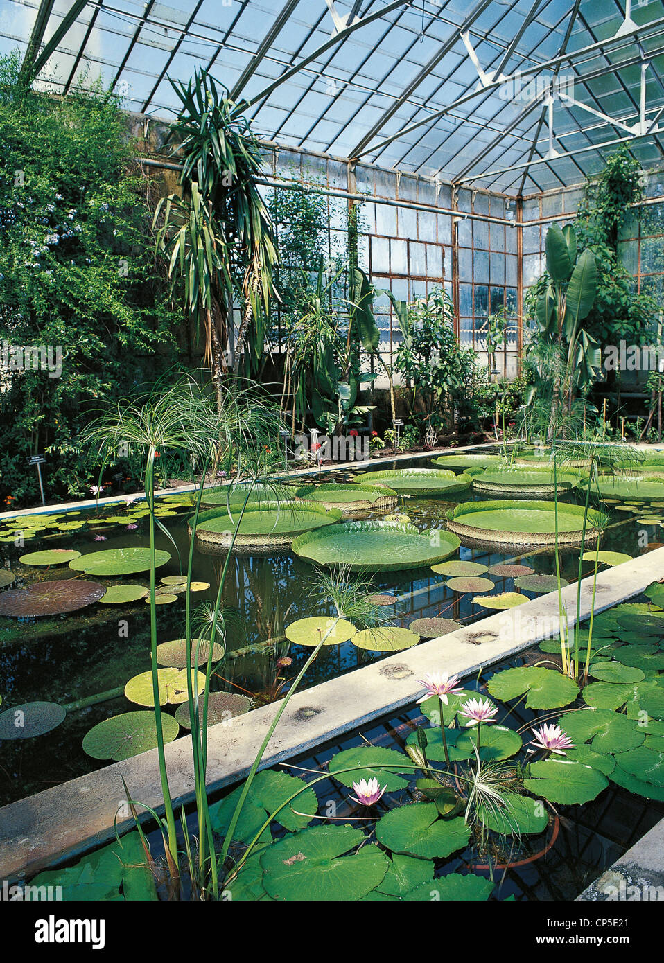 Piemonte Lago Maggiore Verbania Pallanza, Villa Taranto Botanical ...