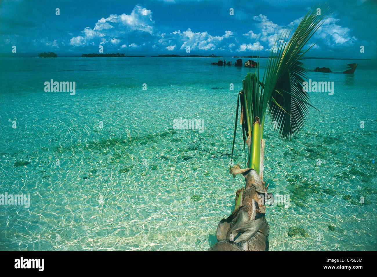 Coco island panama hi-res stock photography and images - Alamy