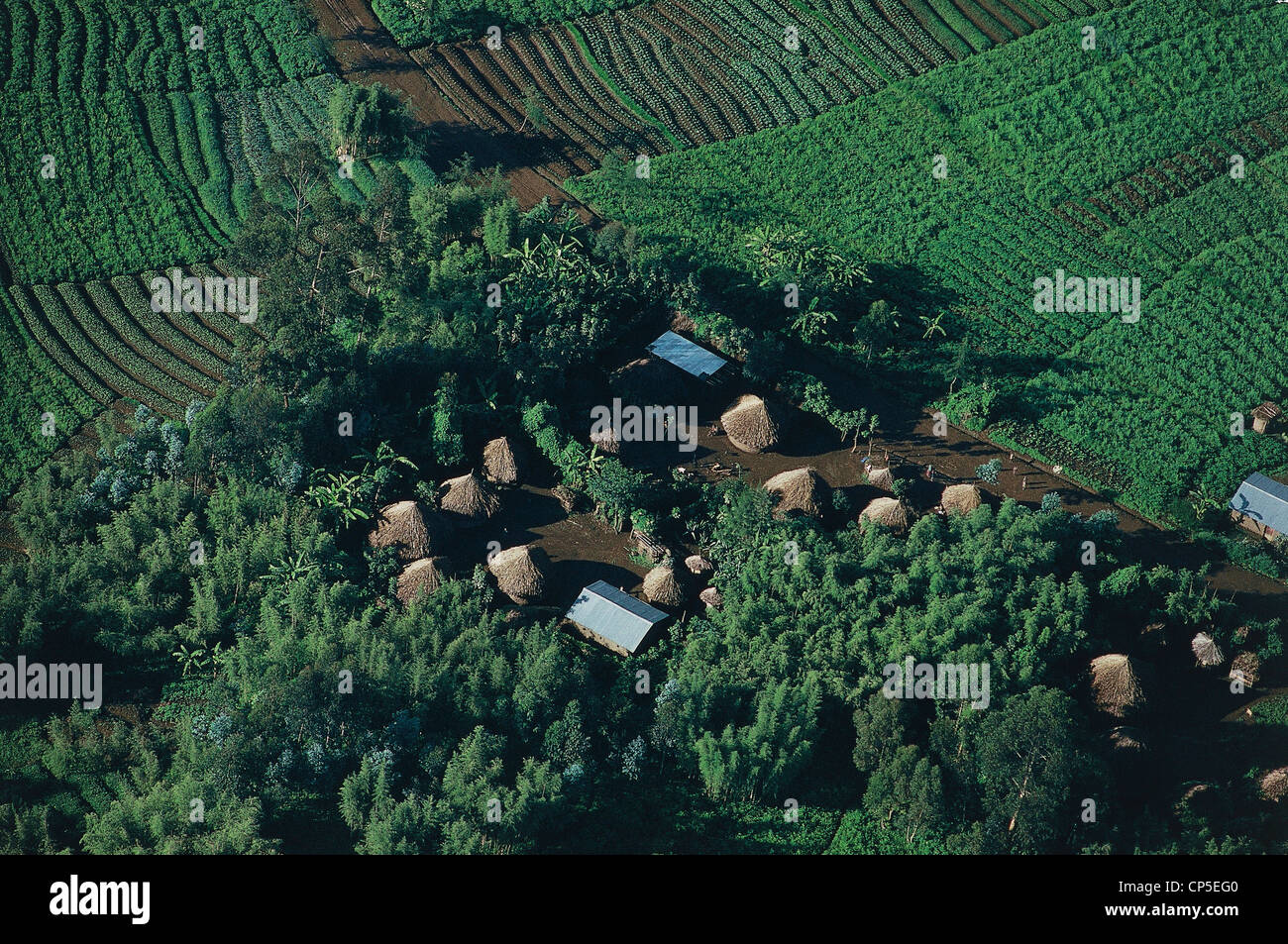 Democratic Republic of Congo - Kivu, village and crops Stock Photo - Alamy