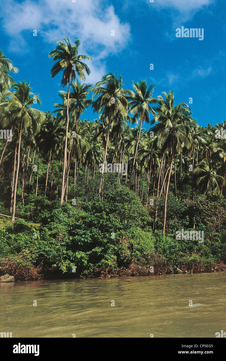 Philippines - Luzon Island. The river Pagsanijan Stock Photo - Alamy
