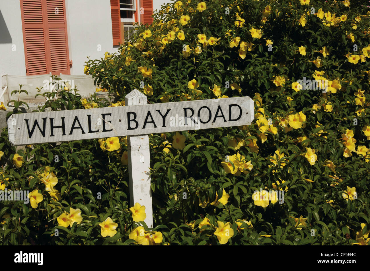 Bermuda (territory outside the United Kingdom) - Great Bermuda (Long ...