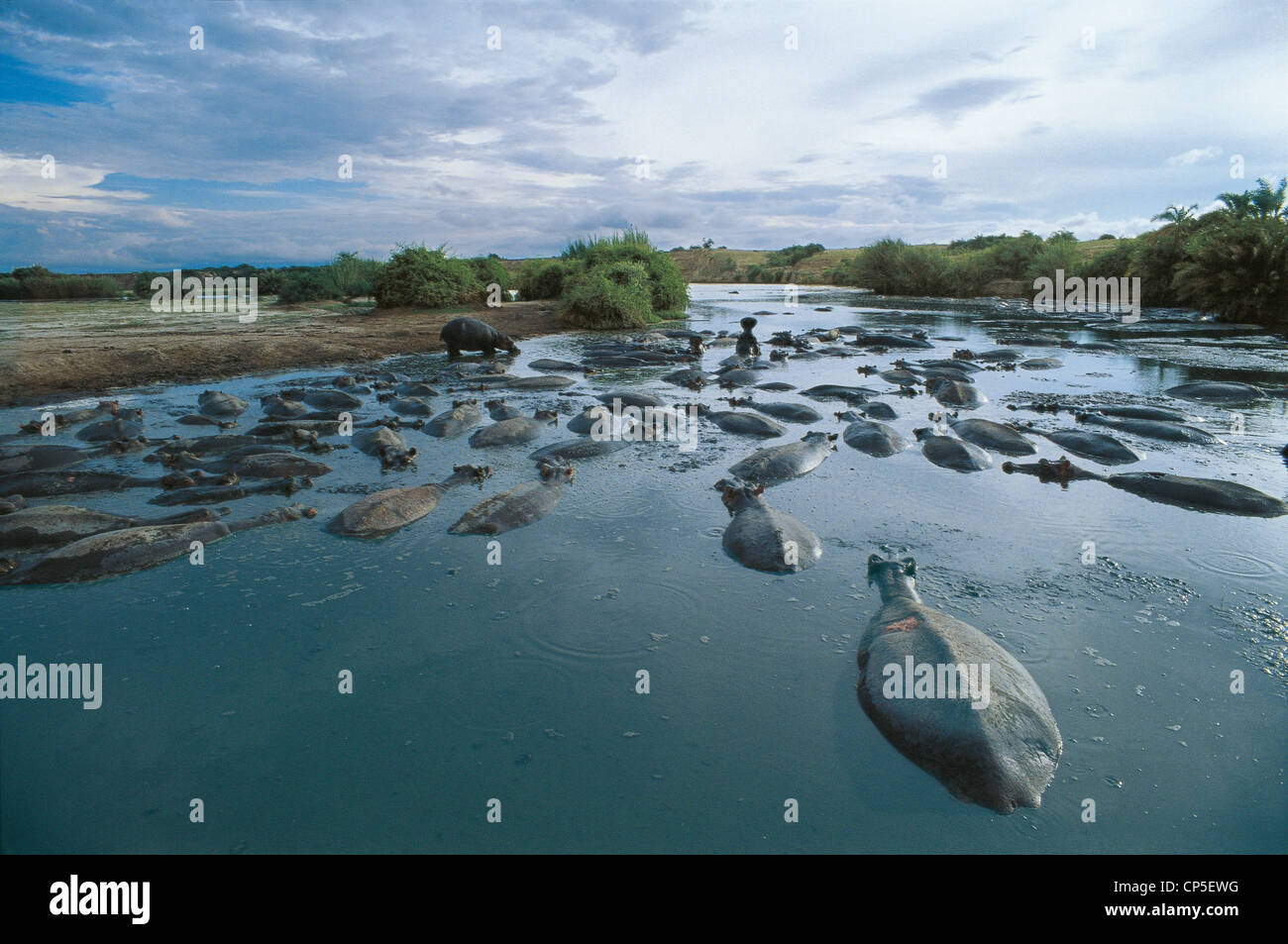 Democratic Republic of the Congo, Virunga National Park (World Heritage ...