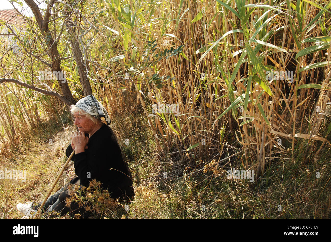 Pag pago hi-res stock photography and images - Alamy