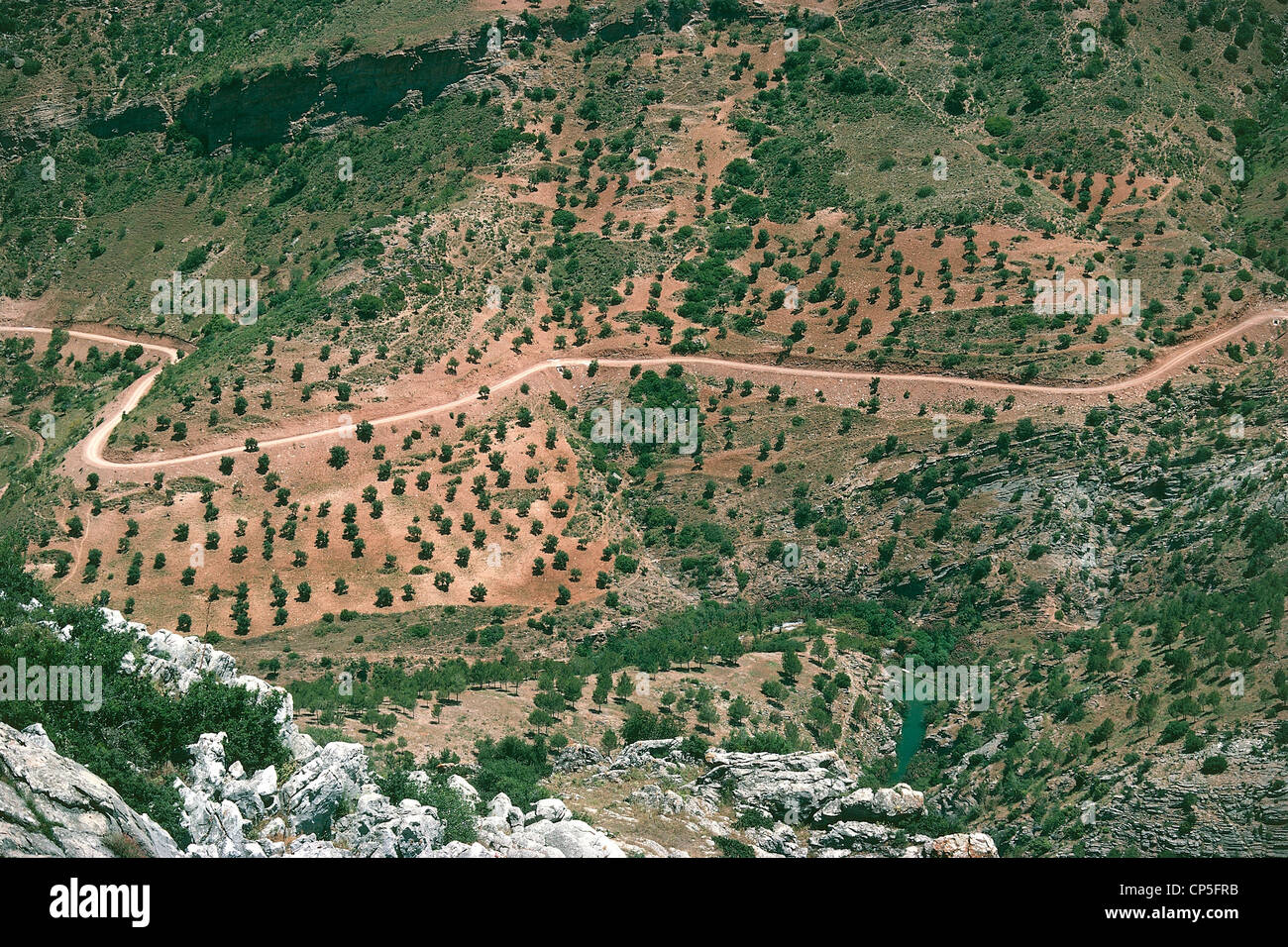 Spain - Andalusia - Serrania de Ronda. Agricultural landscape Stock ...
