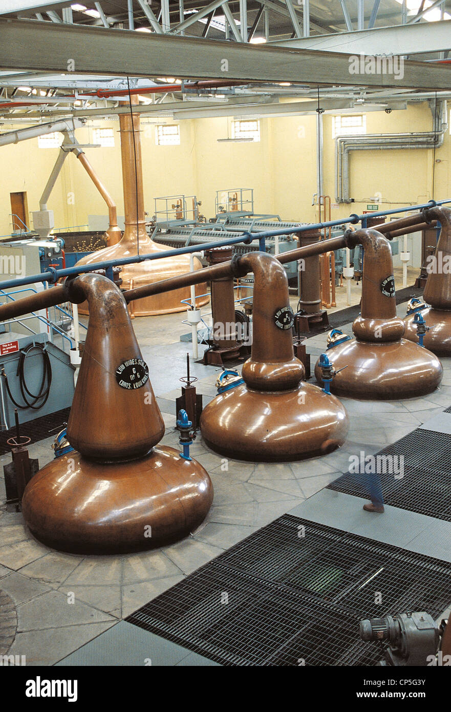 UNITED KINGDOM SCOTLAND WHISKY DISTILLERY Glenfiddich ROOM stills Stock ...
