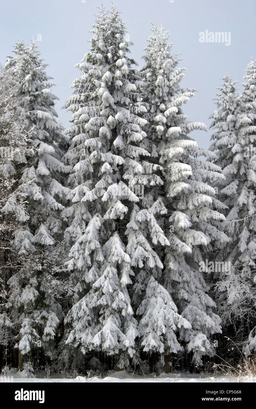 Climate winter hi-res stock photography and images - Alamy