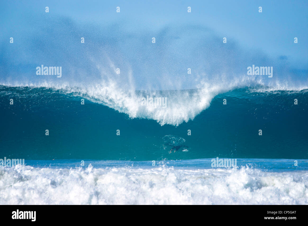 person swims under a huge waves at bondi beach Stock Photo - Alamy