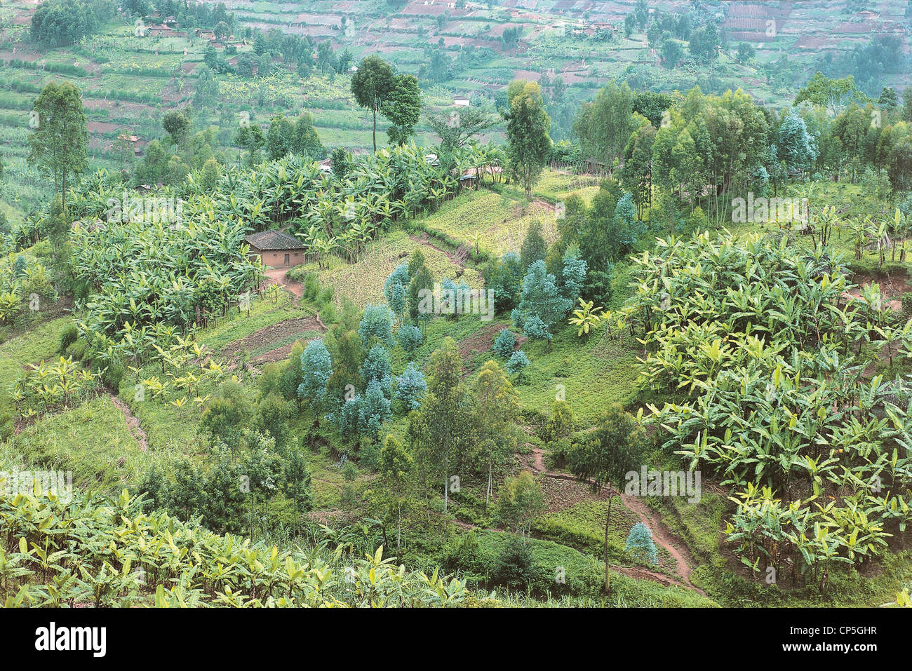 Rwanda - Landscape around Lake Kivu Stock Photo - Alamy