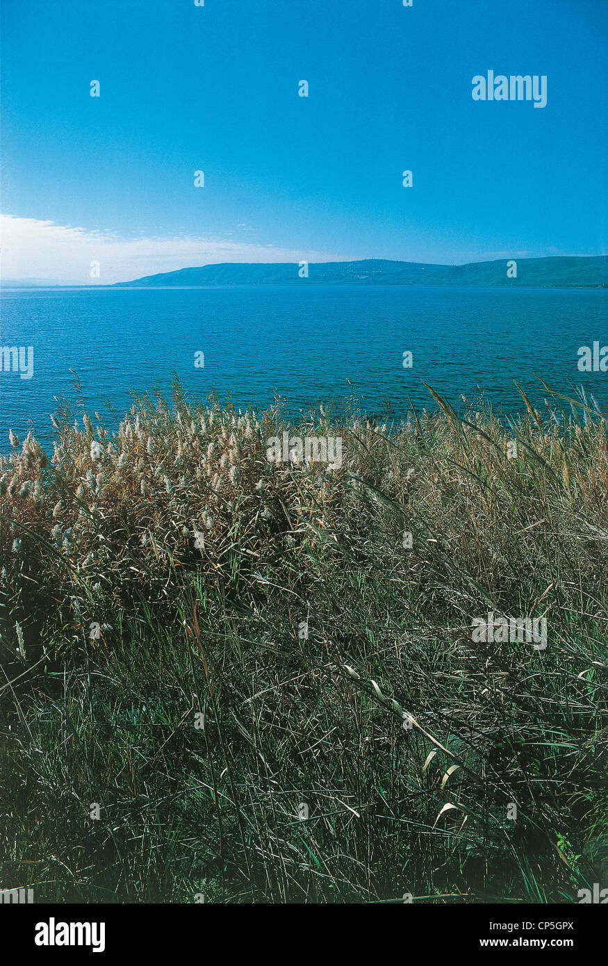 Israel - Lake Tiberias (Sea of Galilee Stock Photo - Alamy