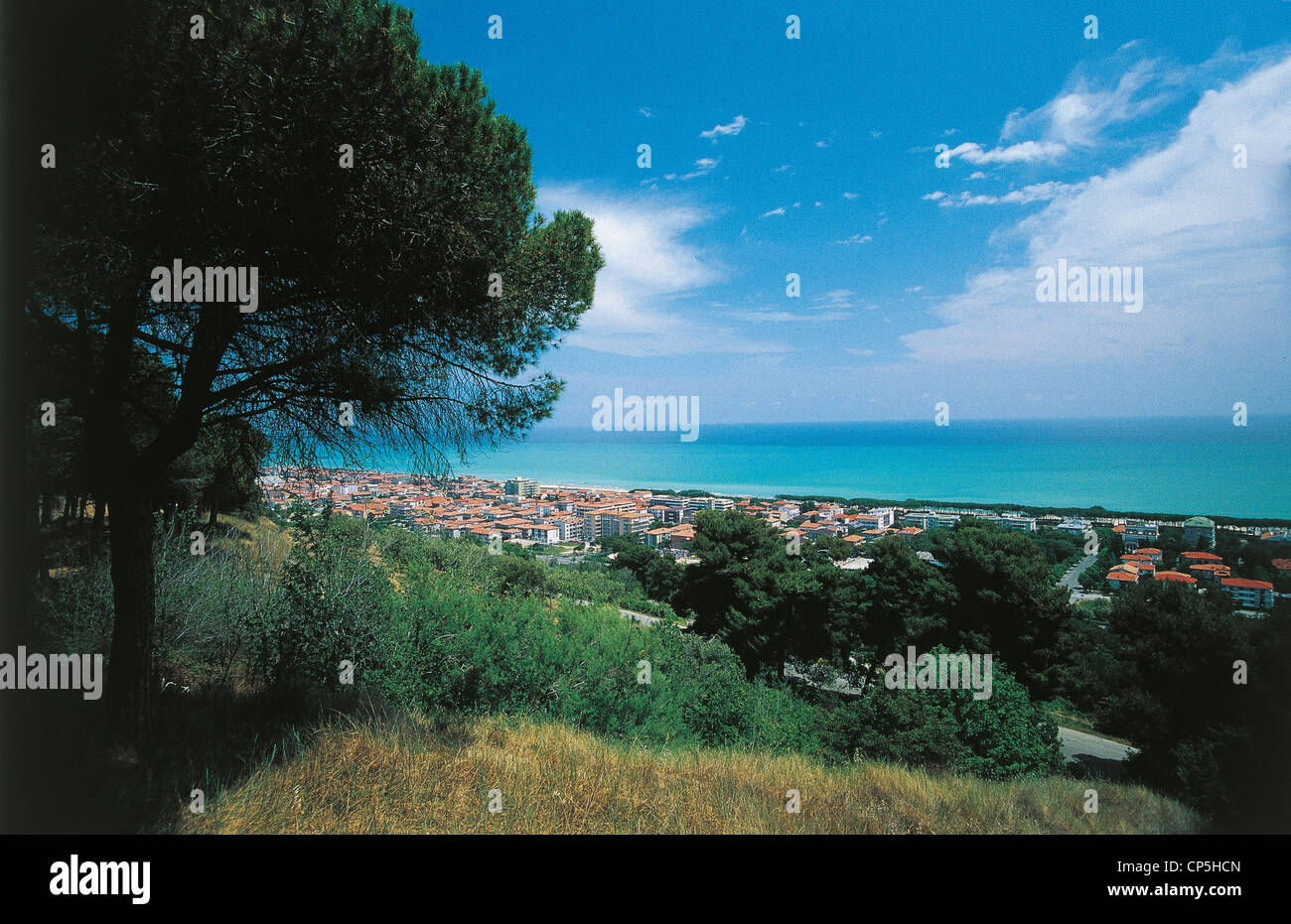 Pineto hi-res stock photography and images - Alamy