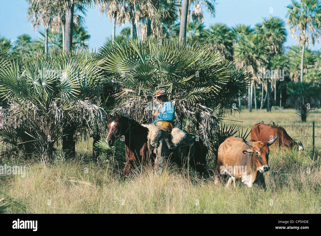 Vacher High Resolution Stock Photography and Images - Alamy