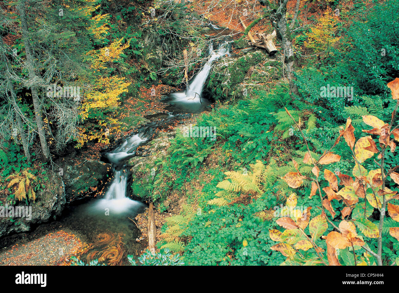 Duzce turkey hi-res stock photography and images - Alamy