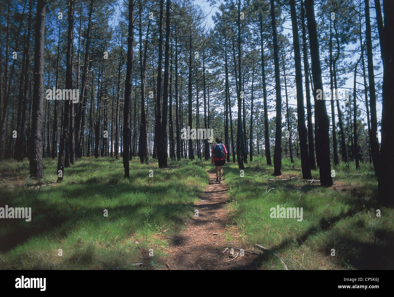 Tuscany - Tuscan Archipelago National Park - Isola d'Elba (LI) - Mount ...