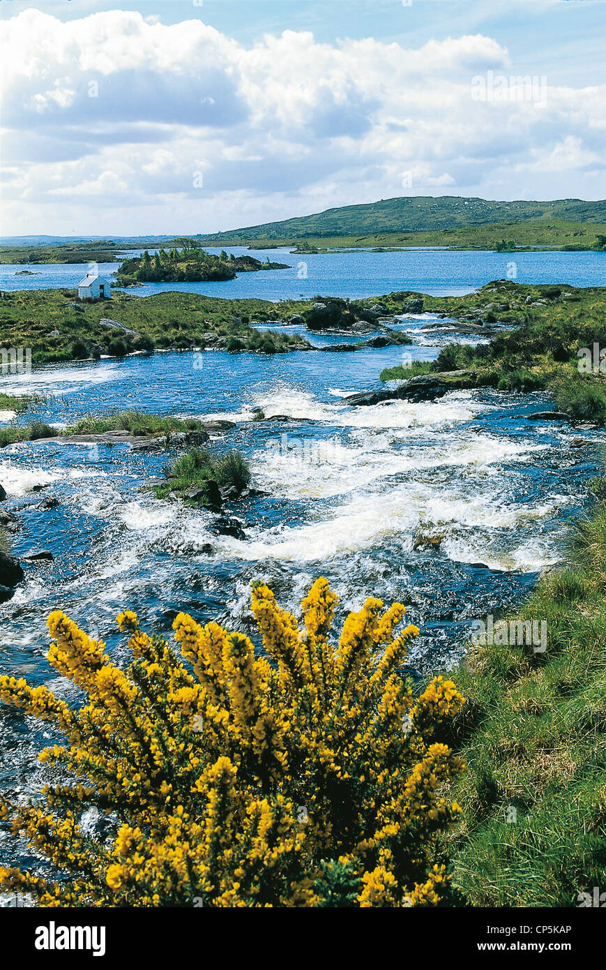 COUNTY REGION OF IRELAND GALWAY CONNEMARA RIVER NEAR THE LAKE Ahal ...