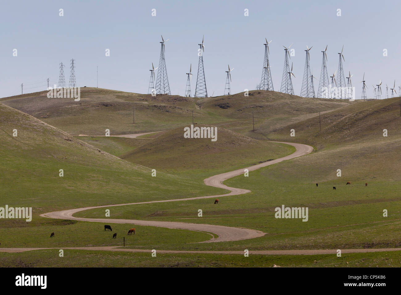 Pass of the cattle hi-res stock photography and images - Alamy
