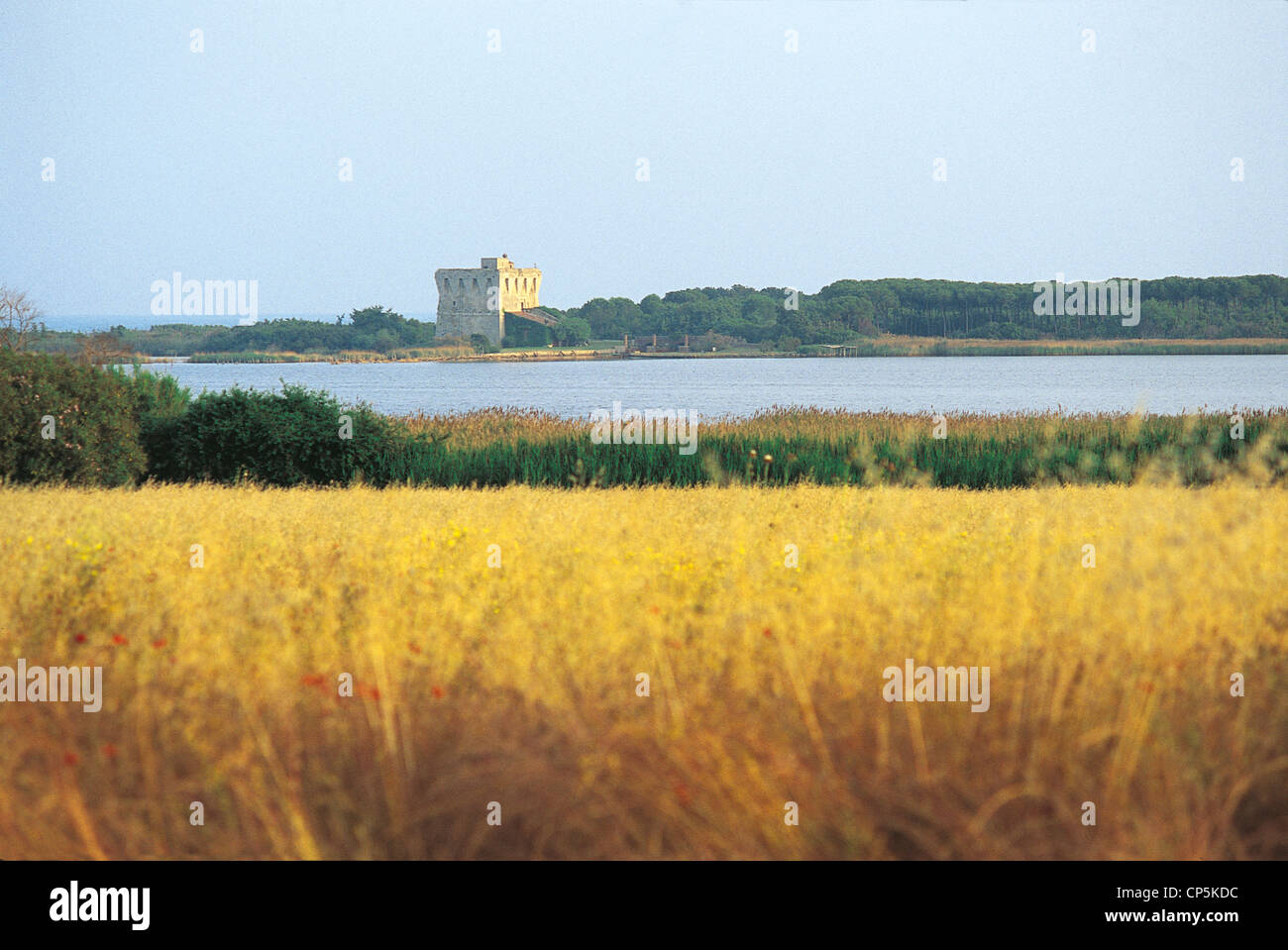 Buranaccio tower hi-res stock photography and images - Alamy