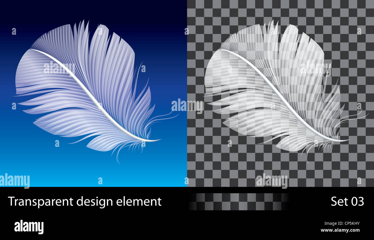 Feather, illustration with transparent effect. EPS (10) file included ...