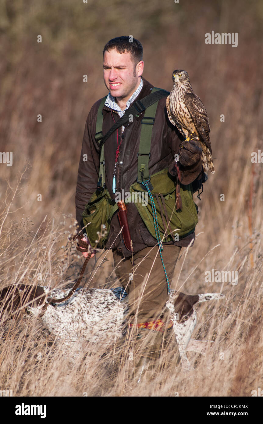 Falconry dog hi-res stock photography and images - Alamy
