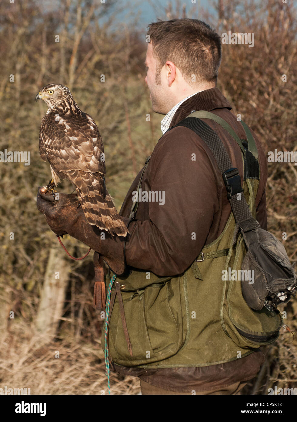 Birds of prey handler hi-res stock photography and images - Alamy