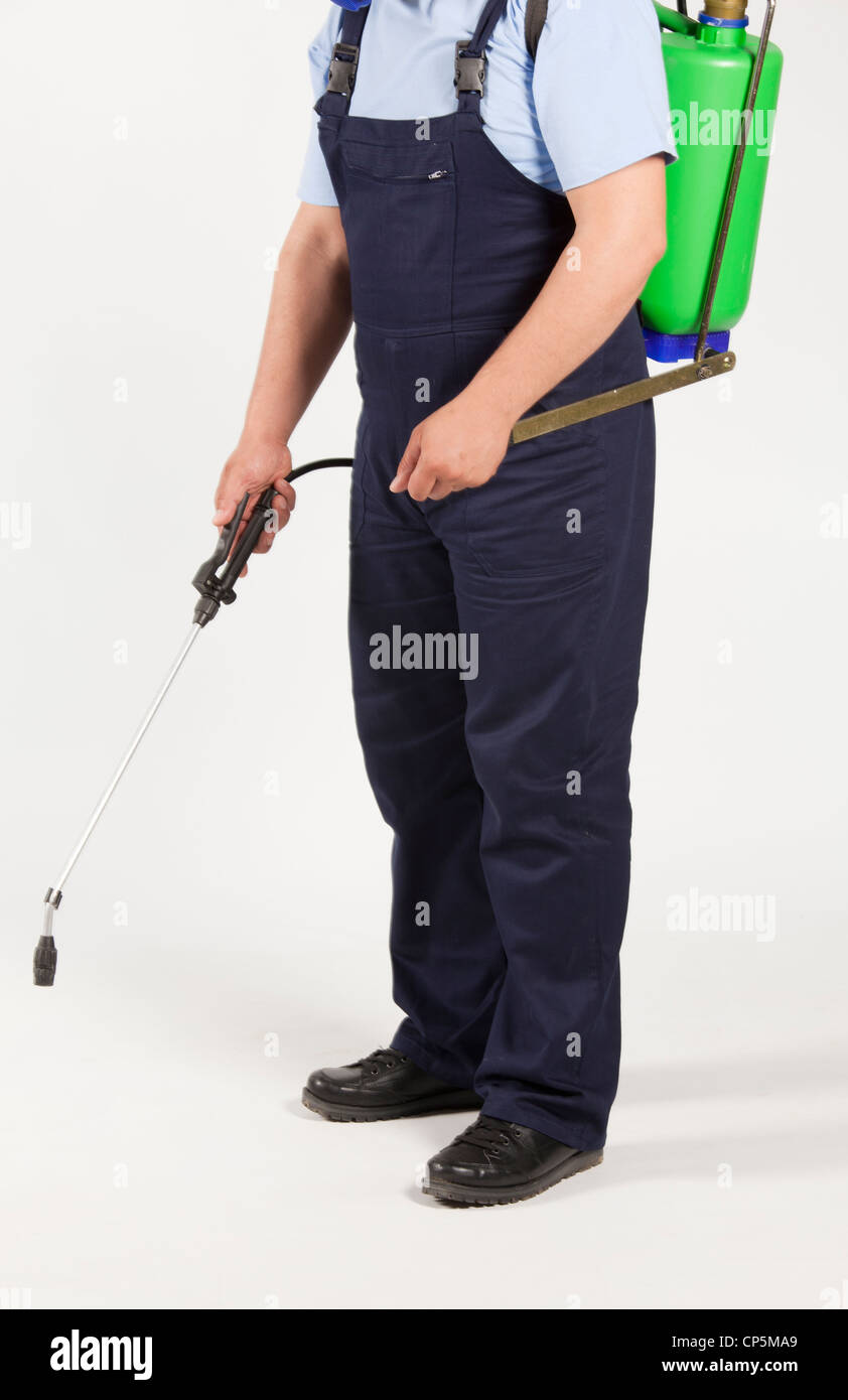 Man spraying insects- pest control Stock Photo - Alamy