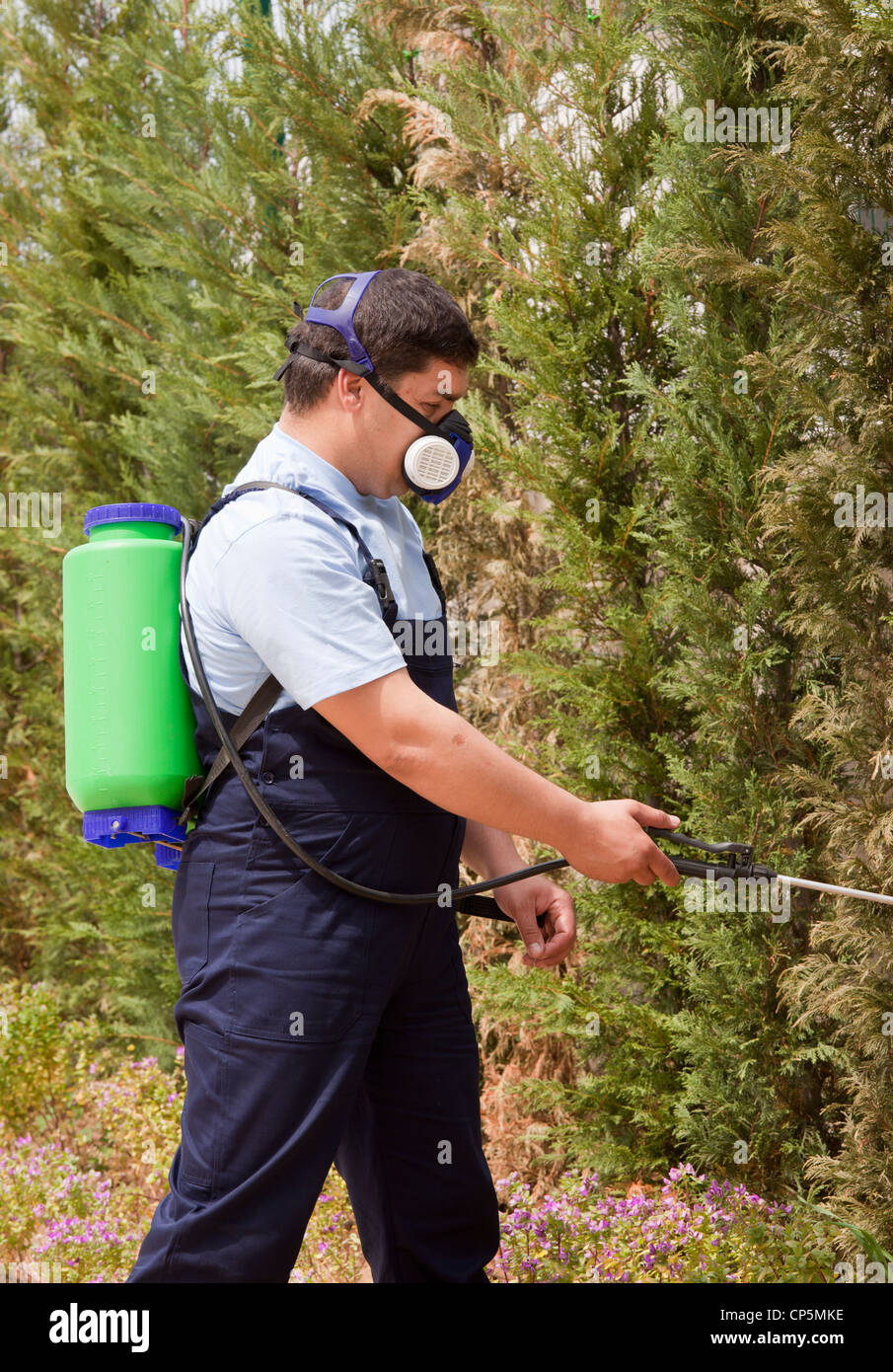 Man Spraying Insects Pest Control High Resolution Stock Photography and ...